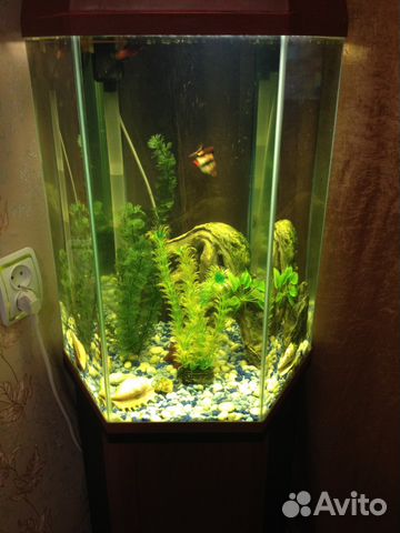 Аквариум на 70 литров продам