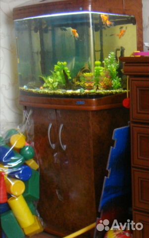 Аквариум jebo (95л) + тумба
