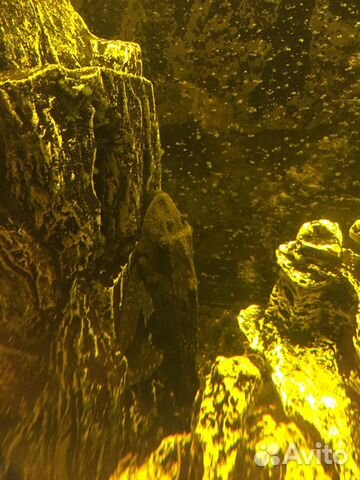 Парчовые сомики 2 шт