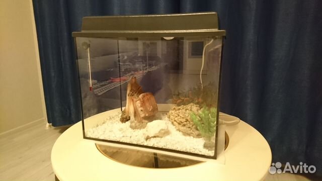 Продам Аквариум на 50 литров плюс оборудование