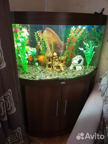 Угловой аквариум Juwel Trigon 190 (Германия)