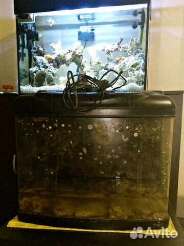 Морской аквариум 60л hailea