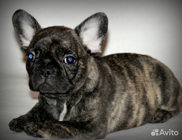 Милая девочка