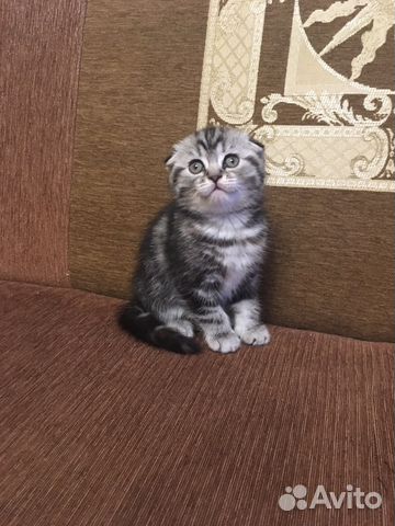 Плюшевая девчушка