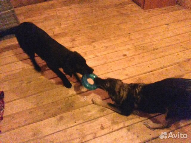 Добрая девочка