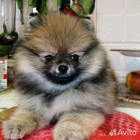 Супер девочка