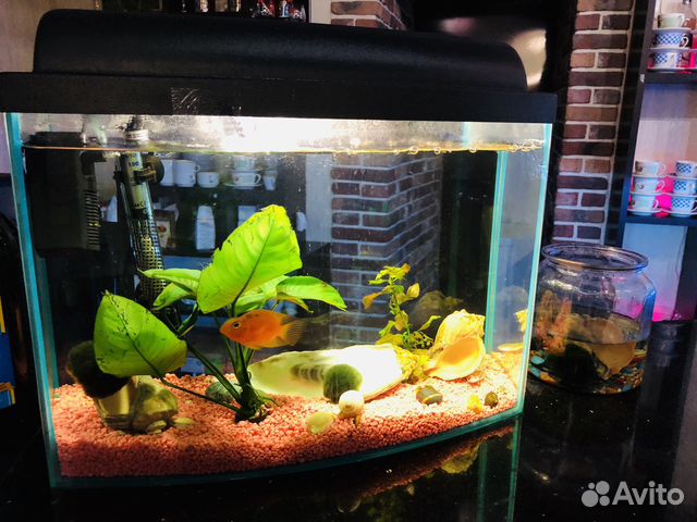 Украшение для аквариума