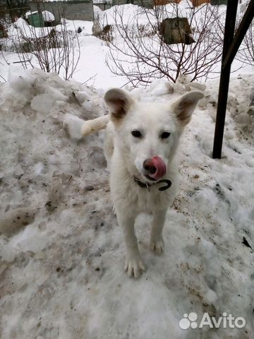 Хочу домой