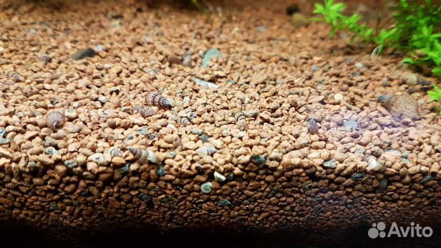 Грунт manado от JBL