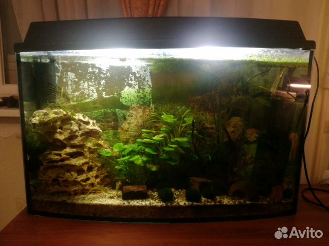 Аквариум
