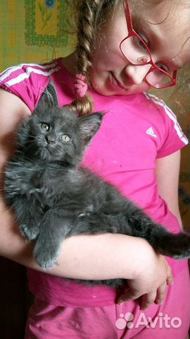 Голубой солид девочка