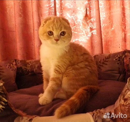 Очаровашка