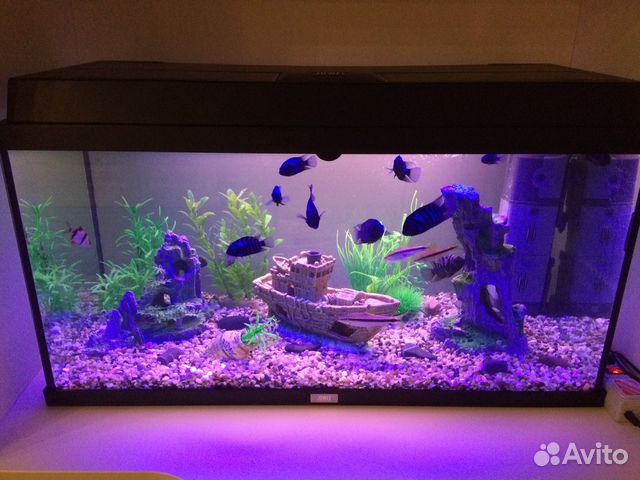 Аквариум + украшения и фильтр