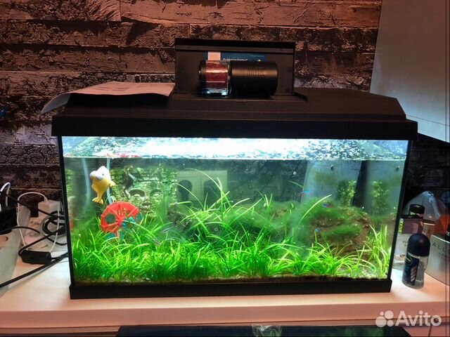 Отдам аквариум 60 литров