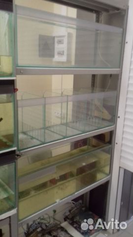 Аквариумы для зоомагазина, разведения
