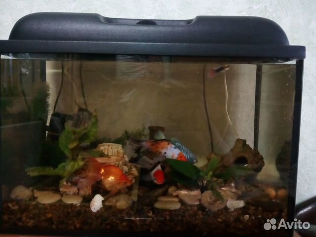 Аквариум со всем оснащением