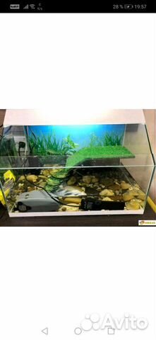 Акватеррариум для красноухой черепахи