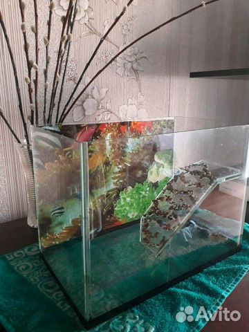 Террарирум