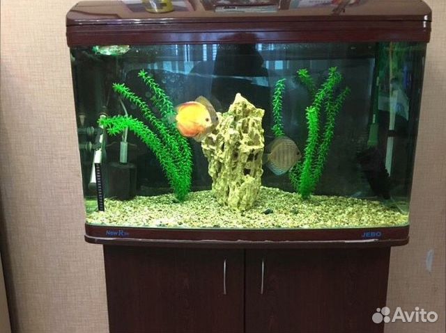Аквариум jebo R390 полный комплект
