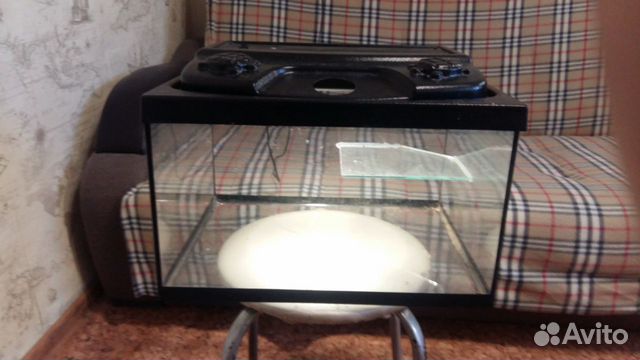 Домашний террариум для черепах (ящериц)