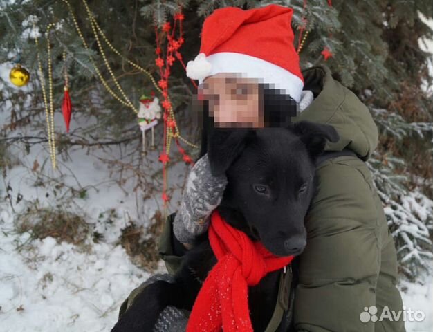 Жгучая брюнетка в добрые руки