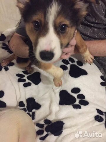 Мальчики и девочки