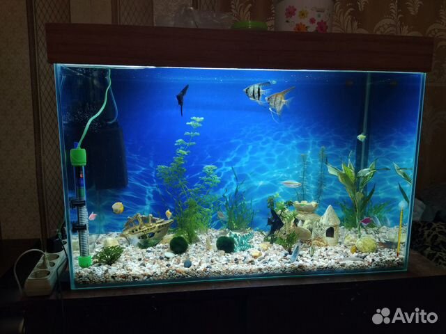 Аквариума 144л