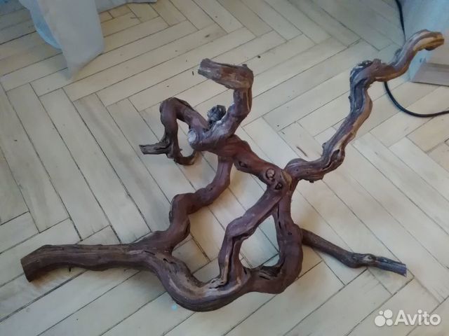 Коряги