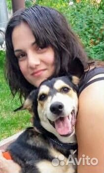 Несчастная собака Эмма в добрые руки