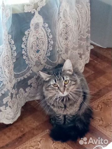 Чудо по имени Тася