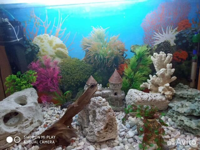Аквариум