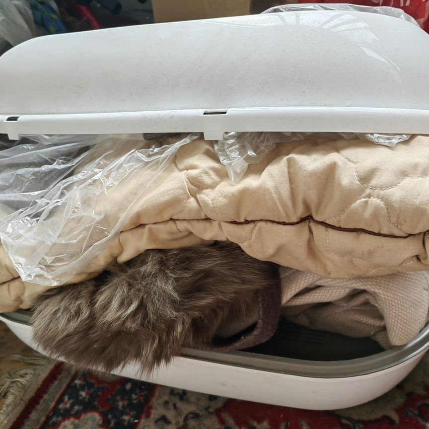 Животным в приют