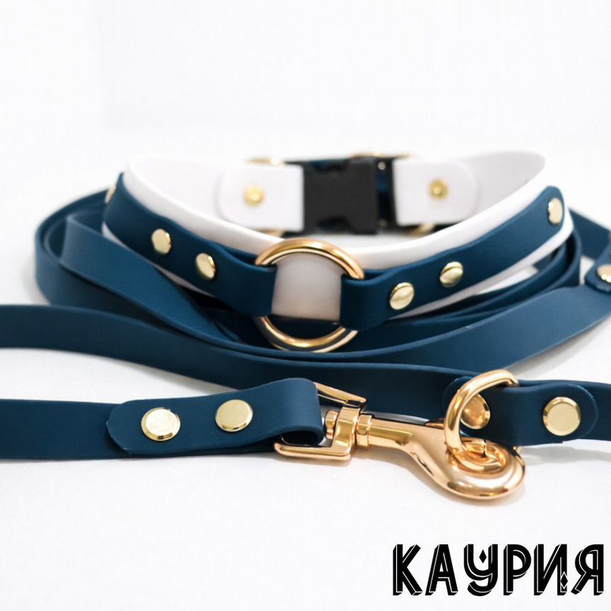 Ошейник и поводок перестежка