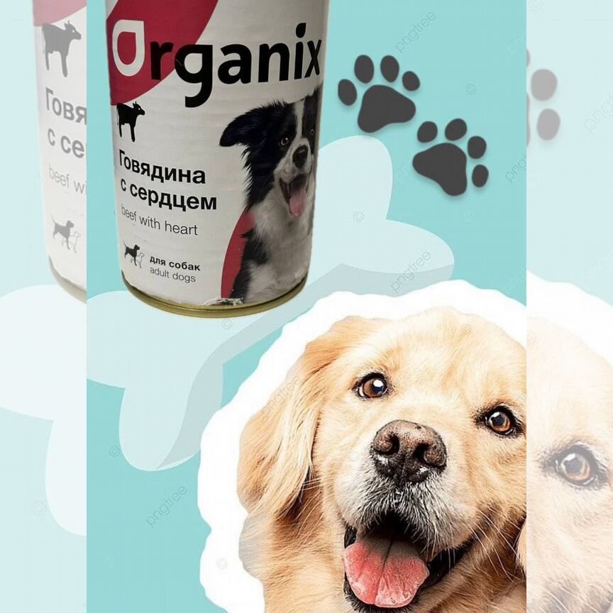 Корм для собак organix