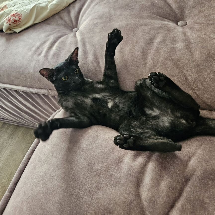 Добрым и одиноким