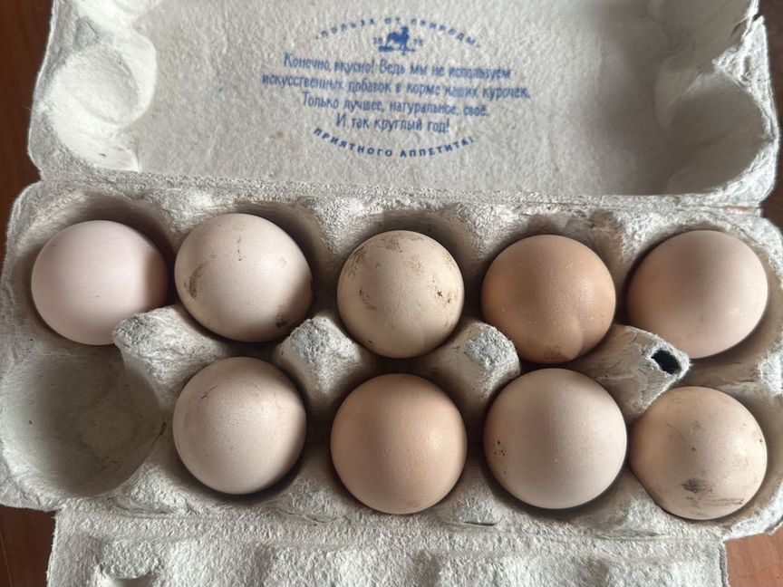 Бойцовые яйца