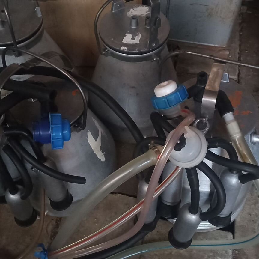 Доильный аппарат для коров бу