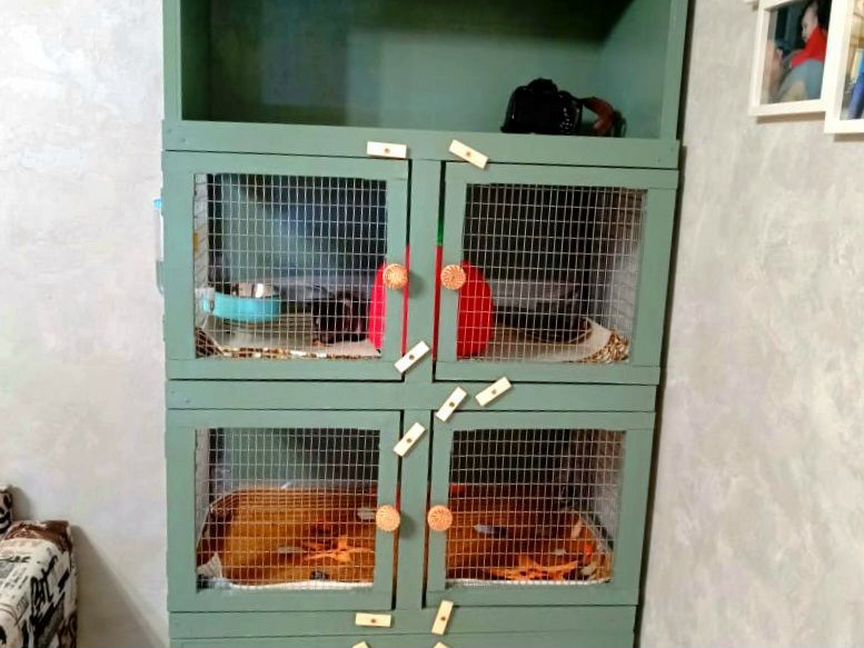 Стеллаж для животных