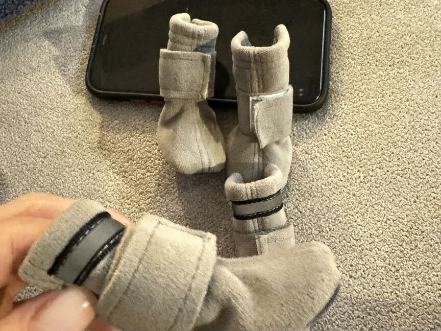 Ботинки замшевые для маленьких собачек