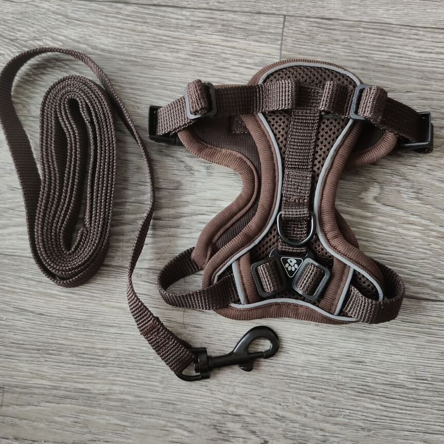 Шлейка для маленькой собаки