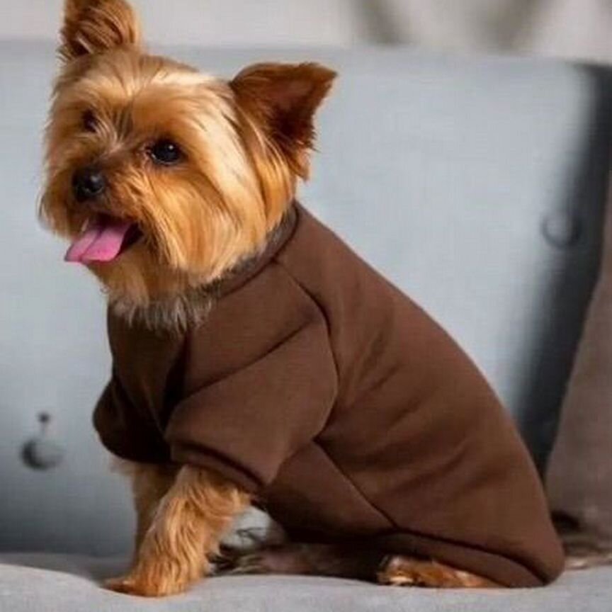 Кофта для собак