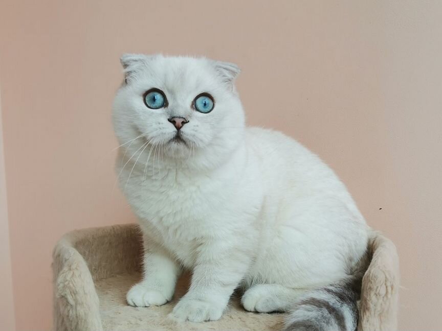 Карамелька