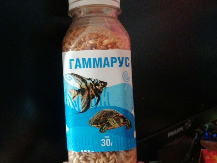 Гаммарус сушеный