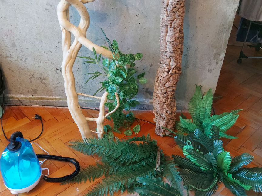 Поилки,ламаы,увлажнитель,растения,коряга,укрытие