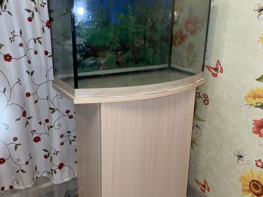 Aquaplus аквариум