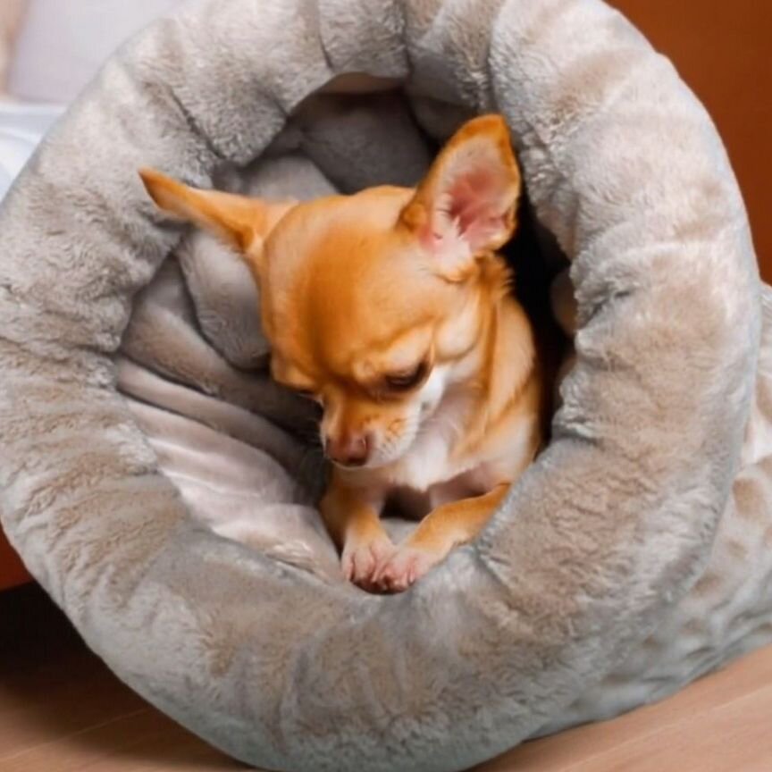 Лежанка для собак и кошек