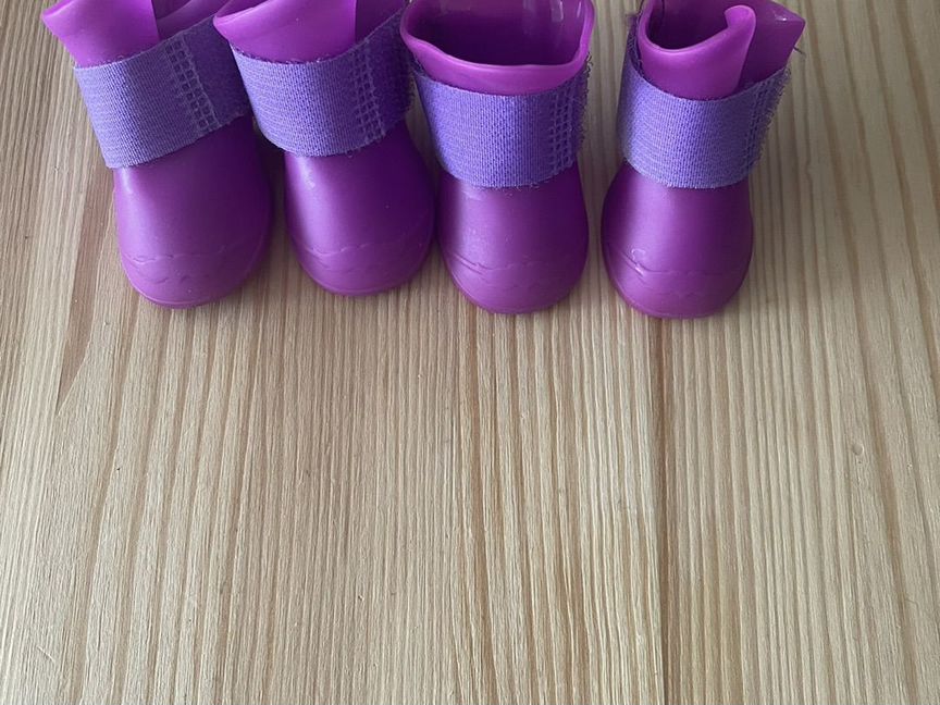 Обувь доя собачки