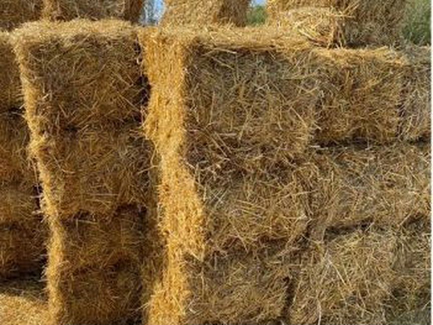 Солома в тюках