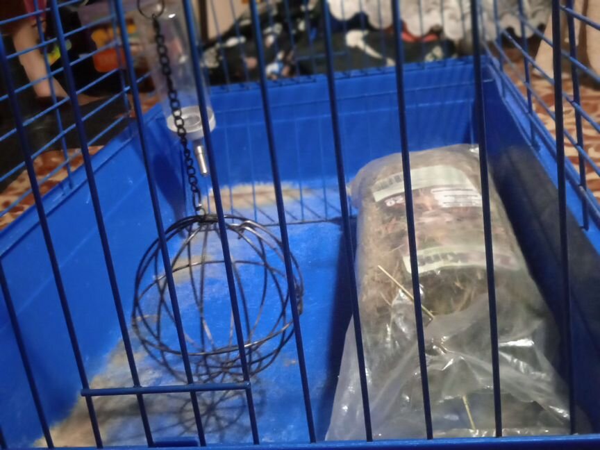 Продам клетку для кролика