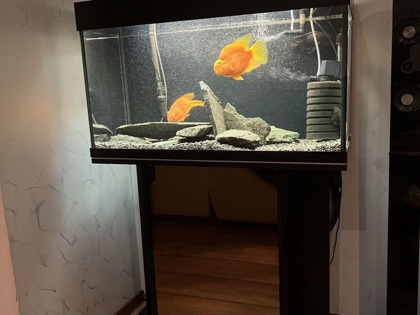 Аквариум с тумбой 150 литров